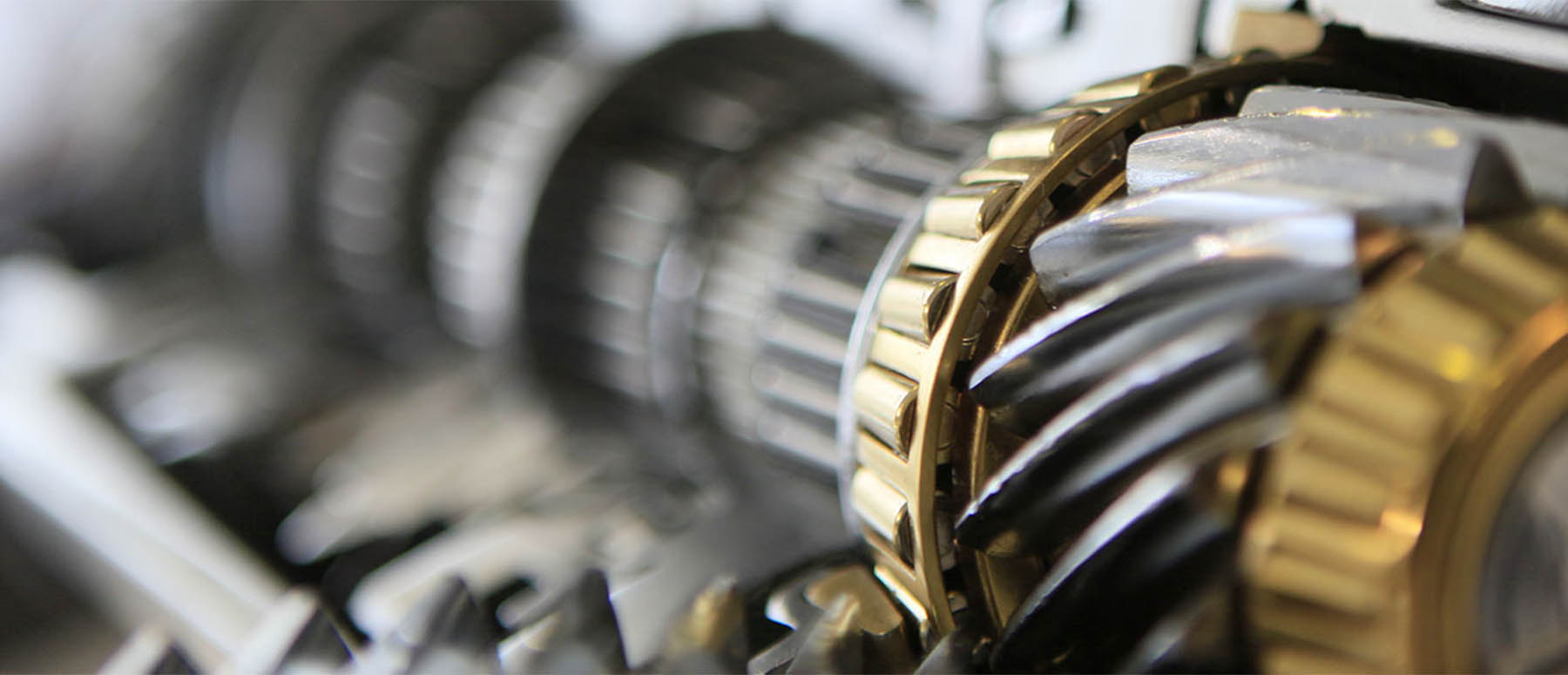 [Portfolio] Global Rewinds by Creative Canary | Perth, Western Australia